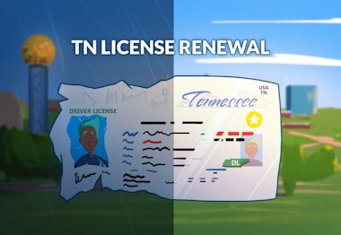 Tennessee Driver's License Renewal Guide | Zutobi Drivers Ed